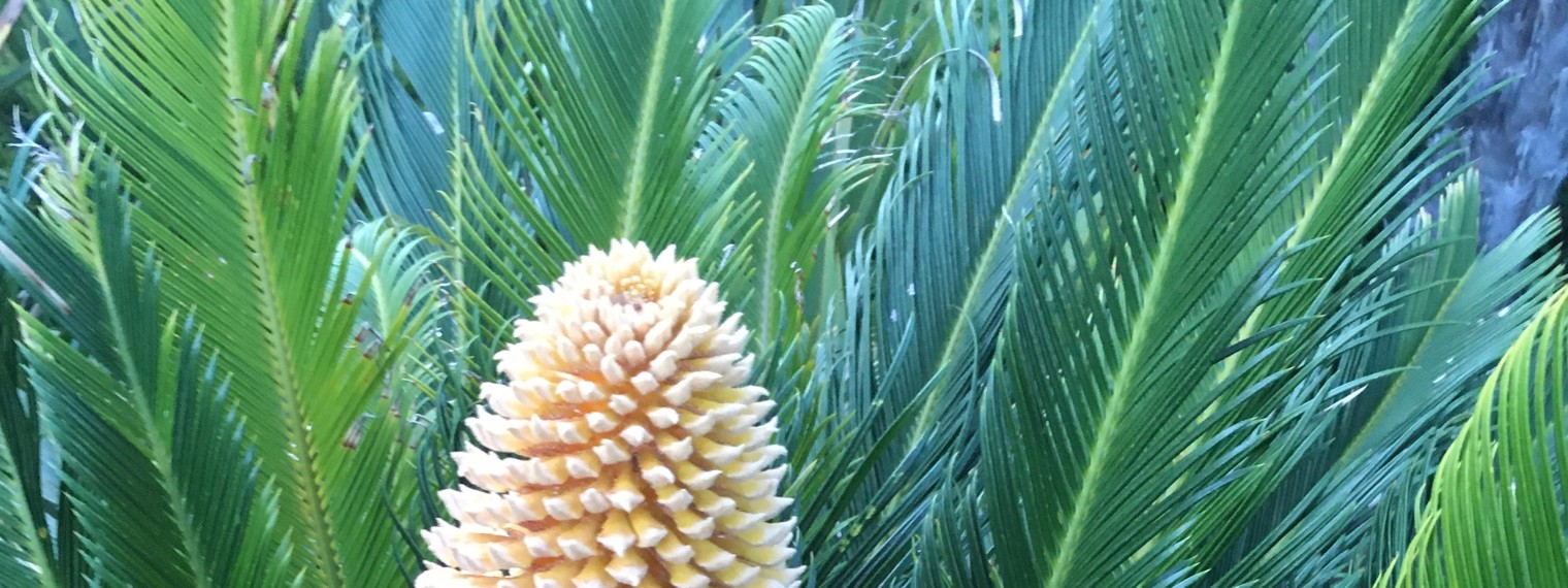 Сергей Чечеткин