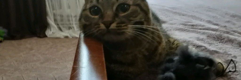 Просто Фроська❤️ и Маша