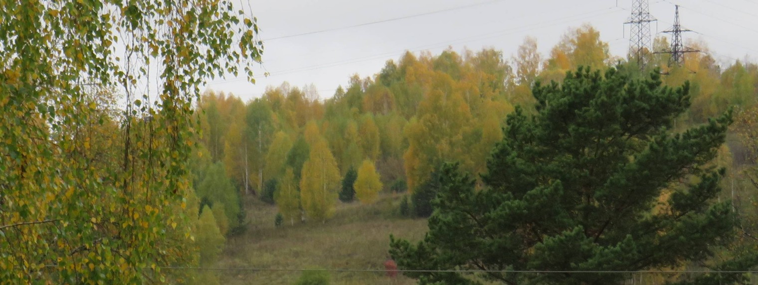 Любимая Дача