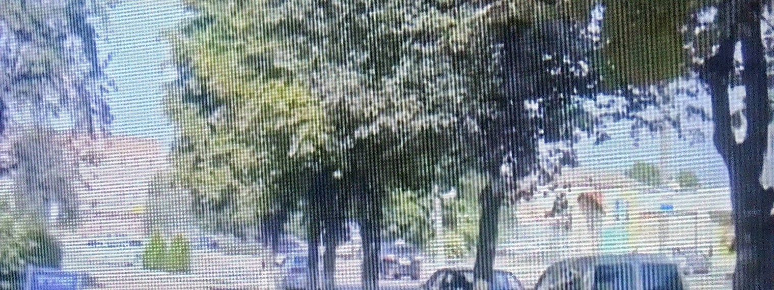 Время Жизни