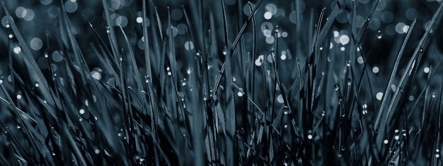 Евгения Урусова