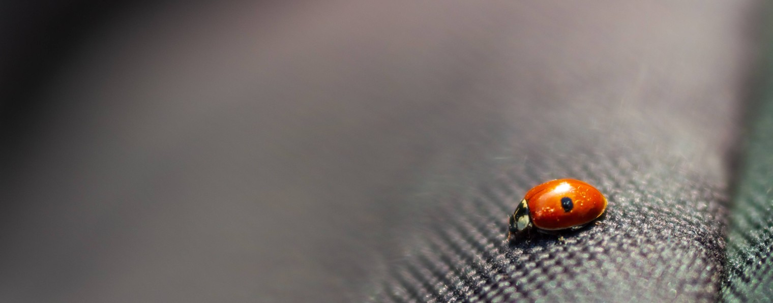 Объективно про фото