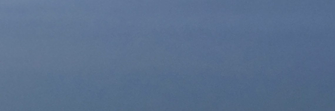 Людмила Киселева