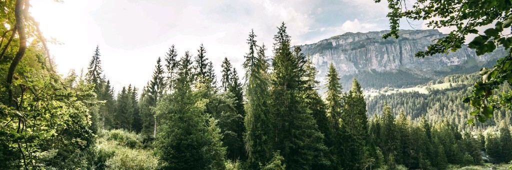 Фото Юмор самые смешные видео