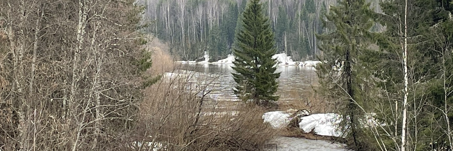 Маман-гурман