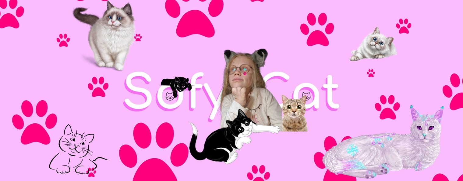 Sofy Cat