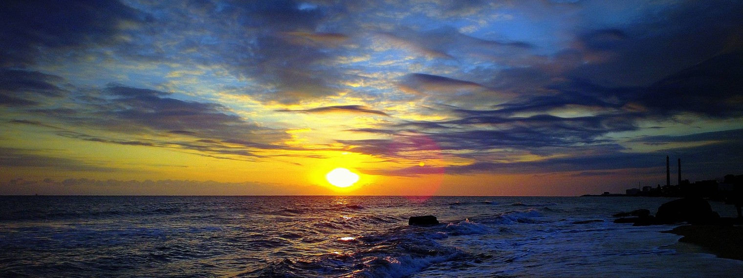 Шамсудин В.