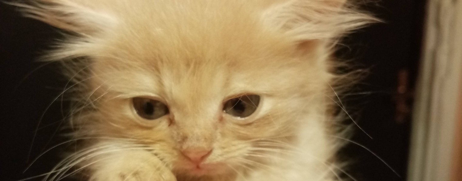 Александр 38