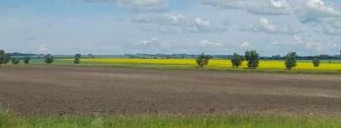 Управление Россельхознадзора по Красноярскому краю