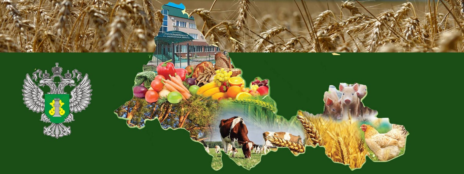 ТУ Россельхознадзора по Оренбургской области