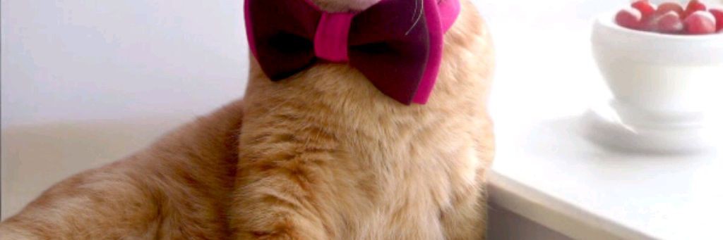 Дамские штучки... и не только