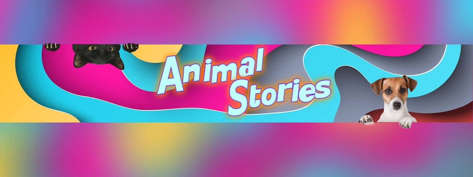Animal Stories