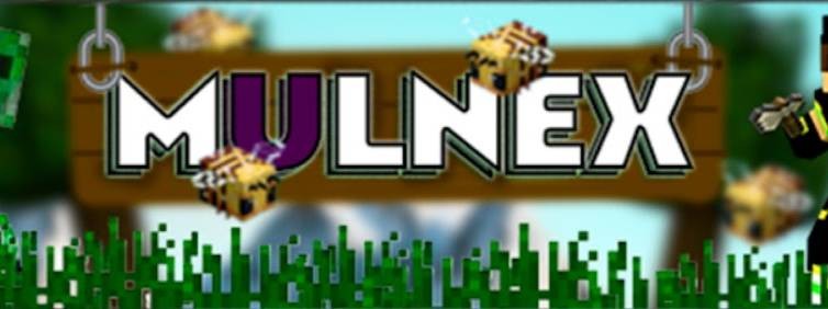 MulNex
