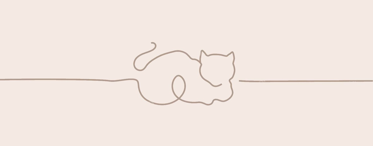 КотоГид