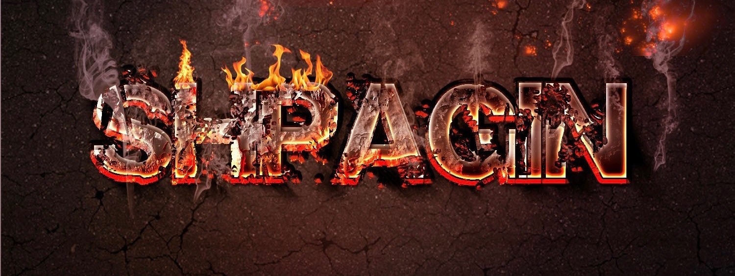 Прикольные видео с Романом Шпагиным