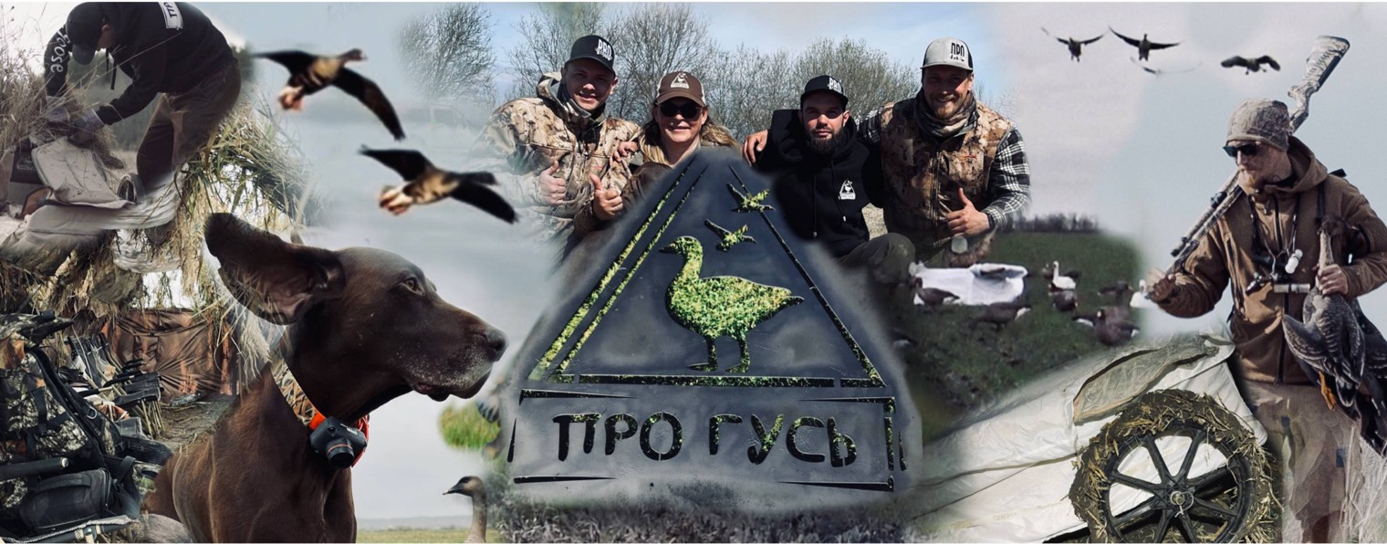 ПроГусь - охота на гуся