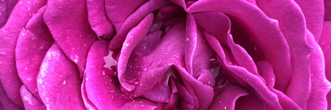 Счастье моё