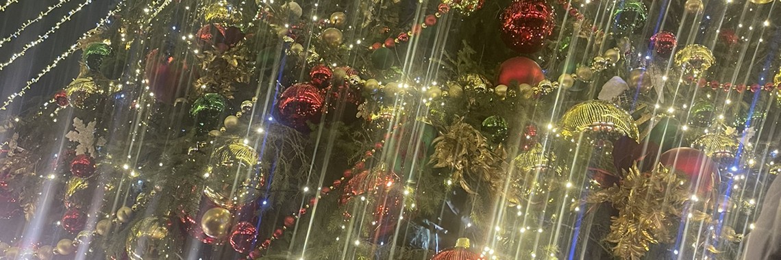 Илоша Плясова