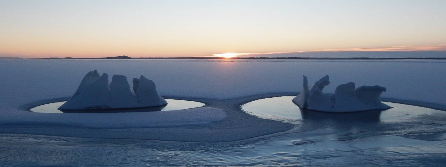 Лесозаводский