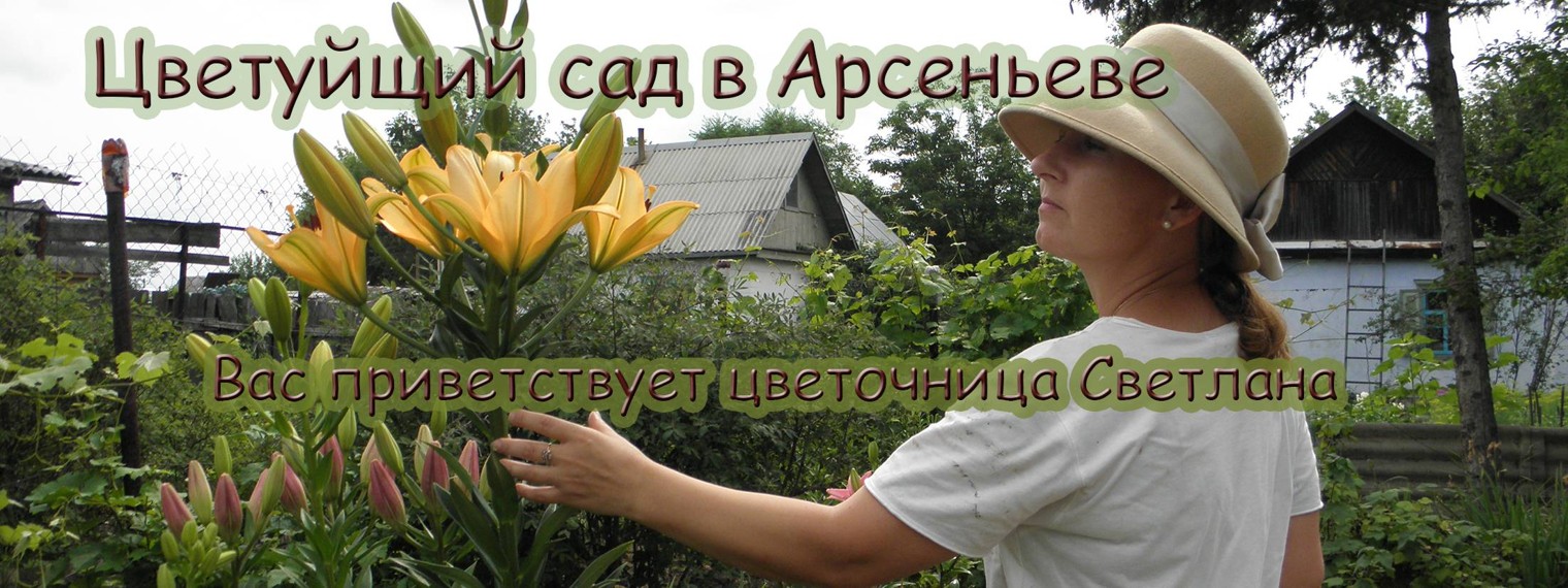 Идеи для дома и сада