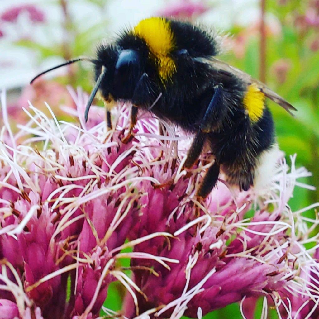 ВЗРЫВНОЙ ОХОТНИК