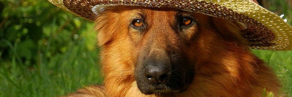 Марина Сергеевна