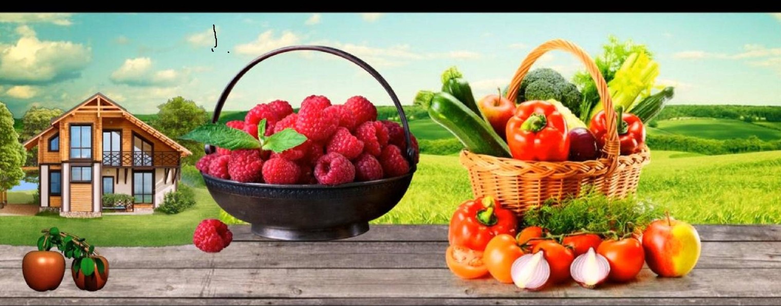 Райский уголок - САД и ОГОРОД