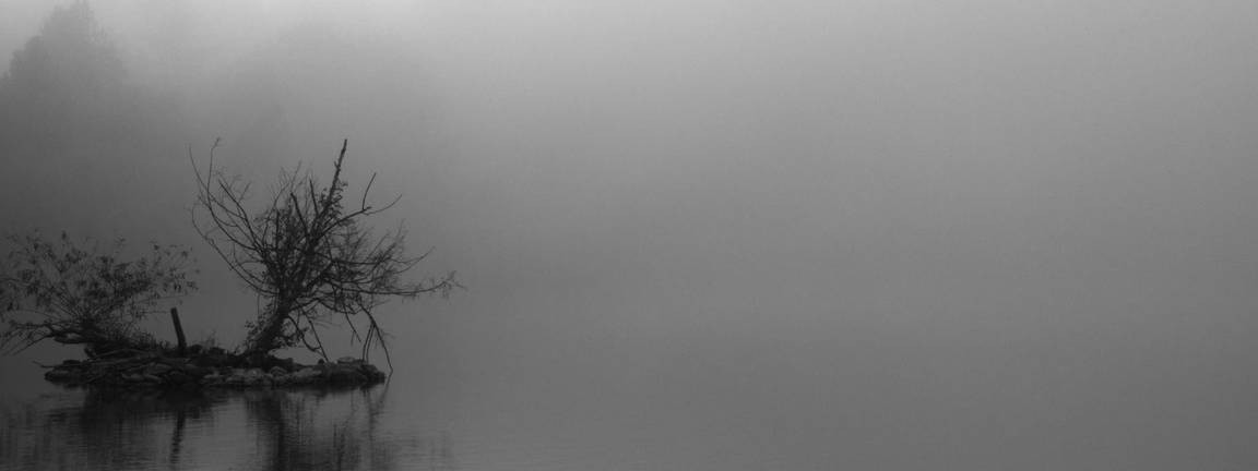 Кандибобер с бородой