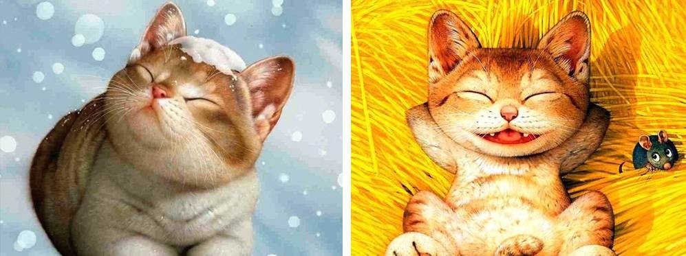 Смешной КОТаклизм ?