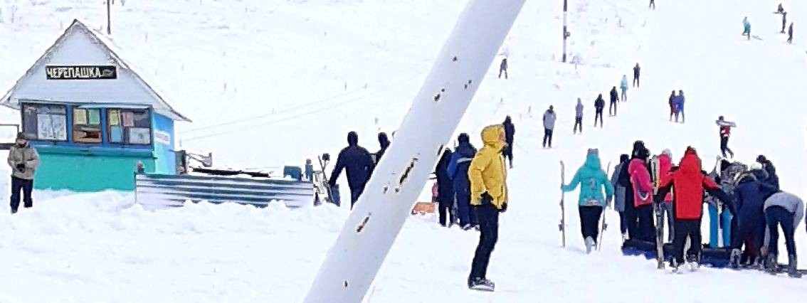 Анастасия Шибаева