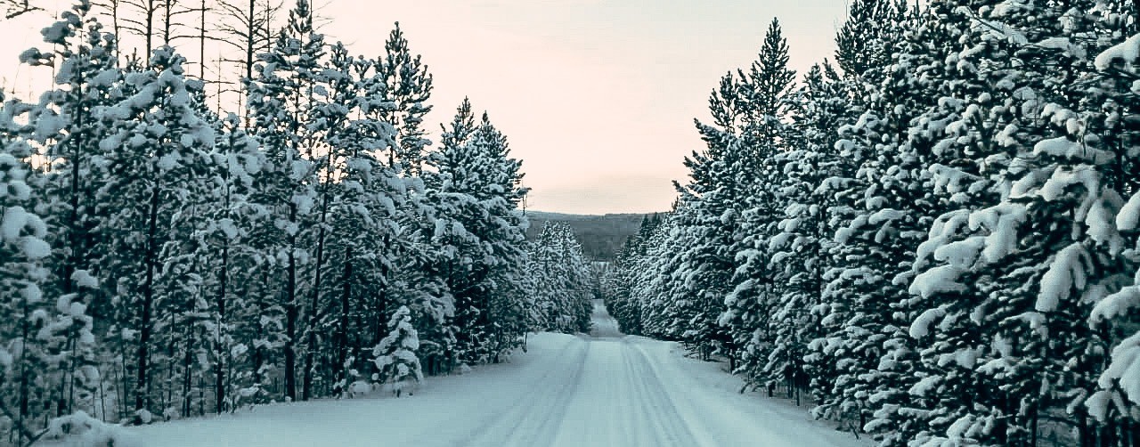 ФОДП Байкал