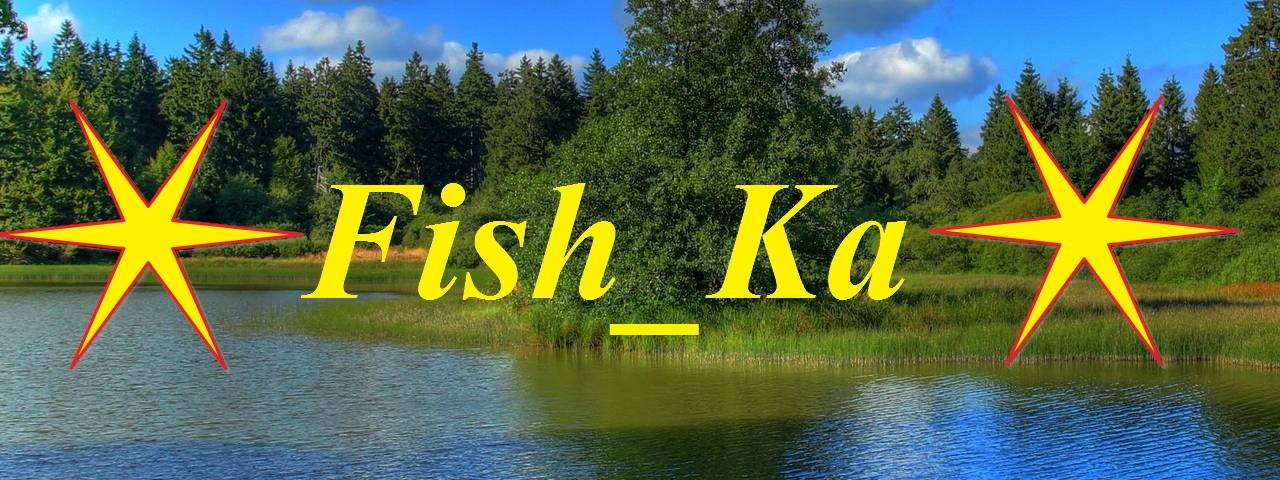 Fish_Ka