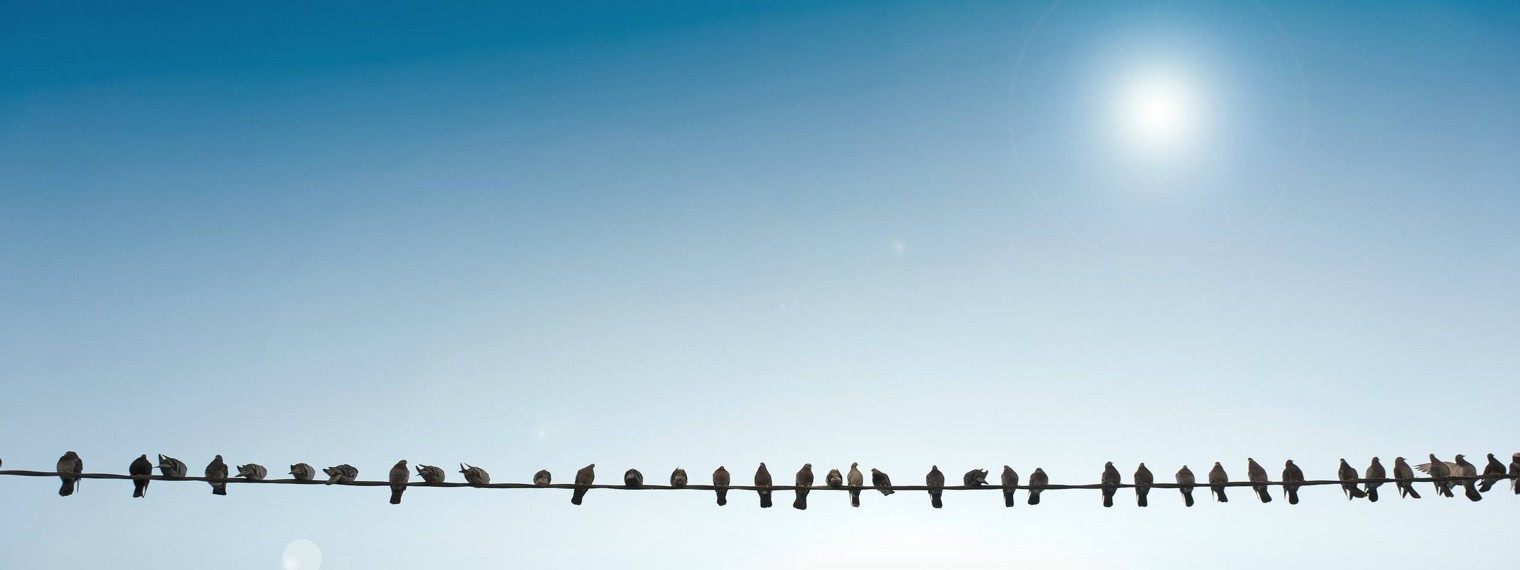 Аскетика для мирян