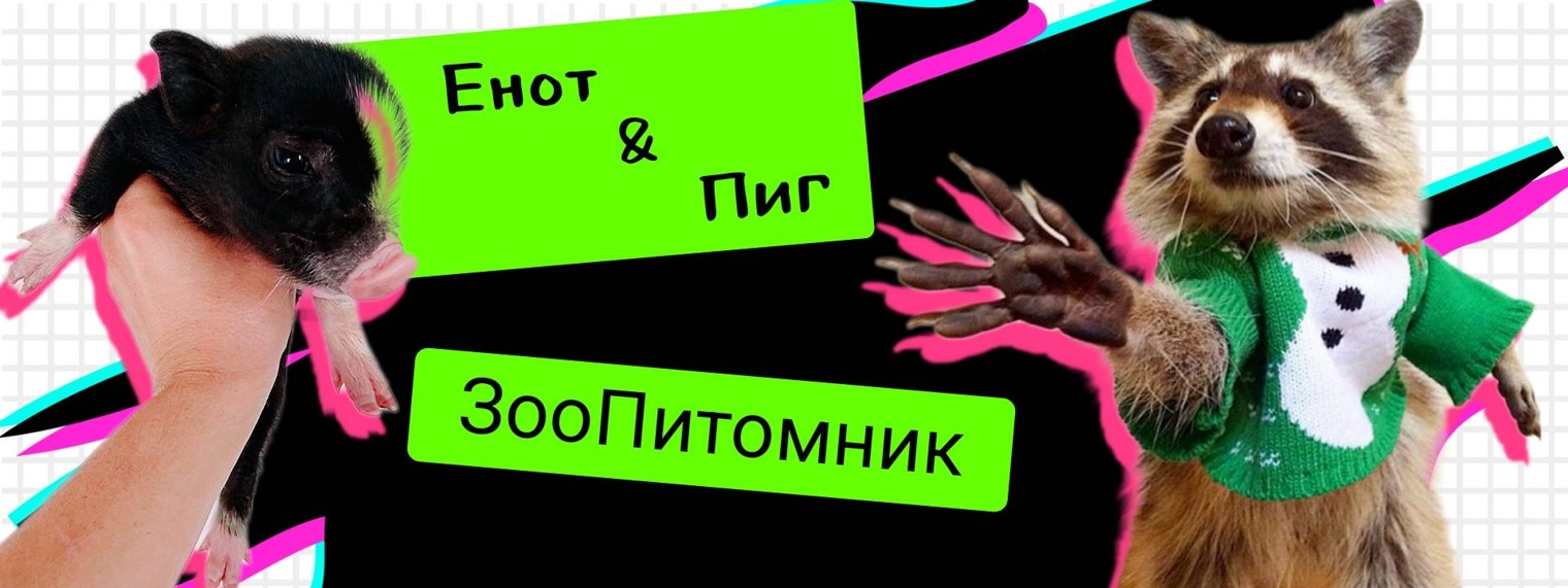 ЗооПитомник Енот&Пиг