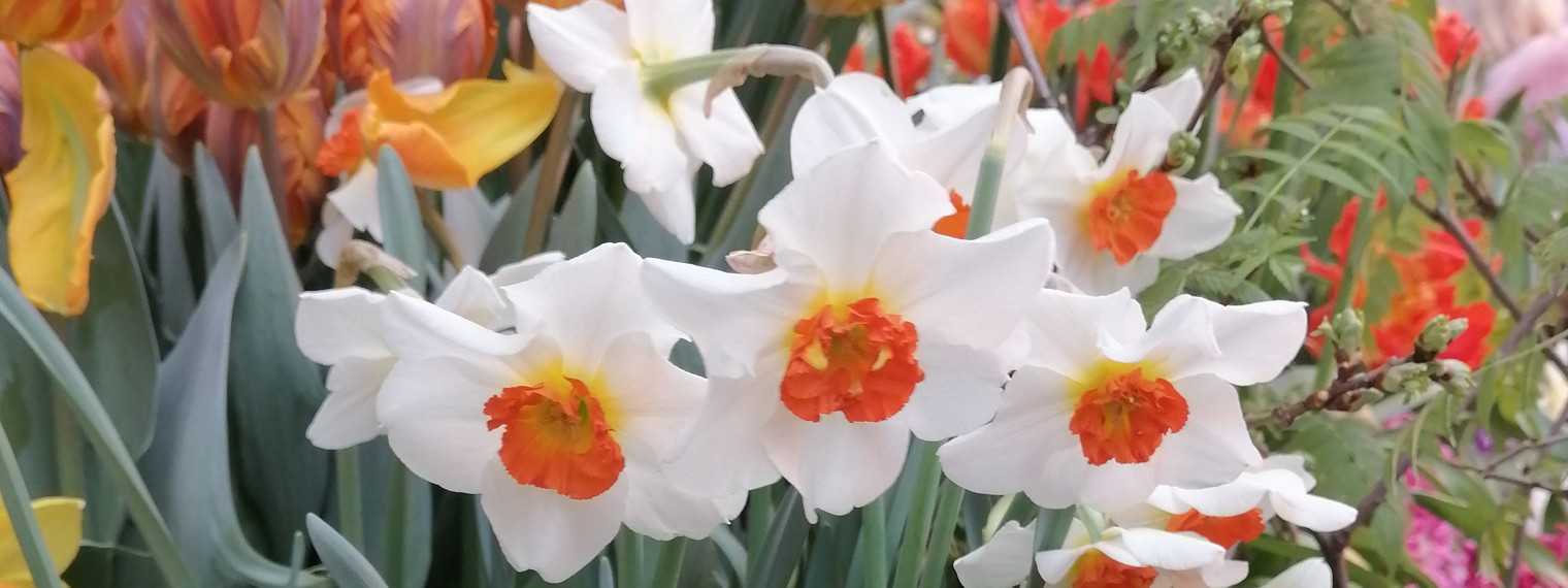 школьный_учитель