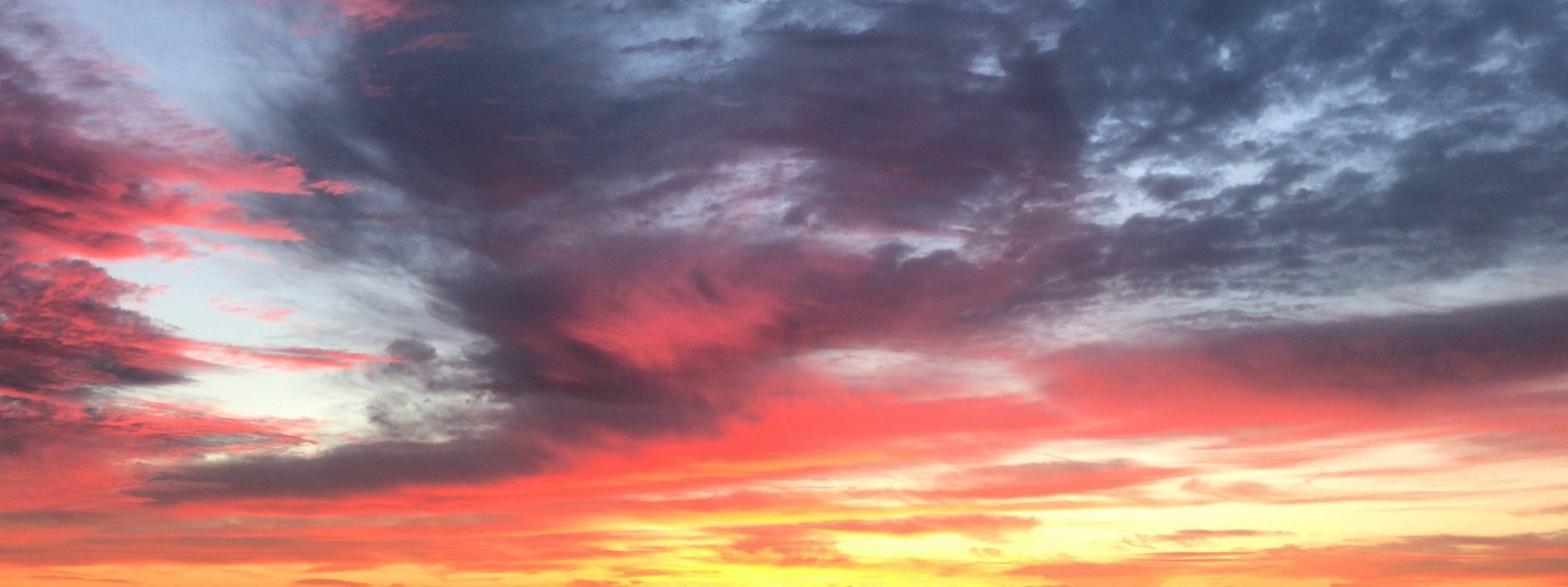 Павел Кондрашов