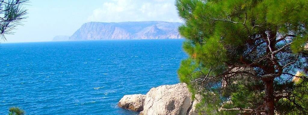 Незабудка 777