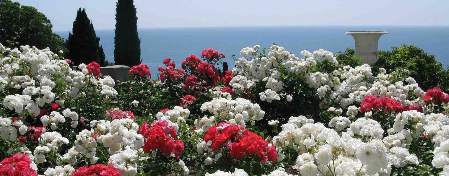 Оксана Половиченко