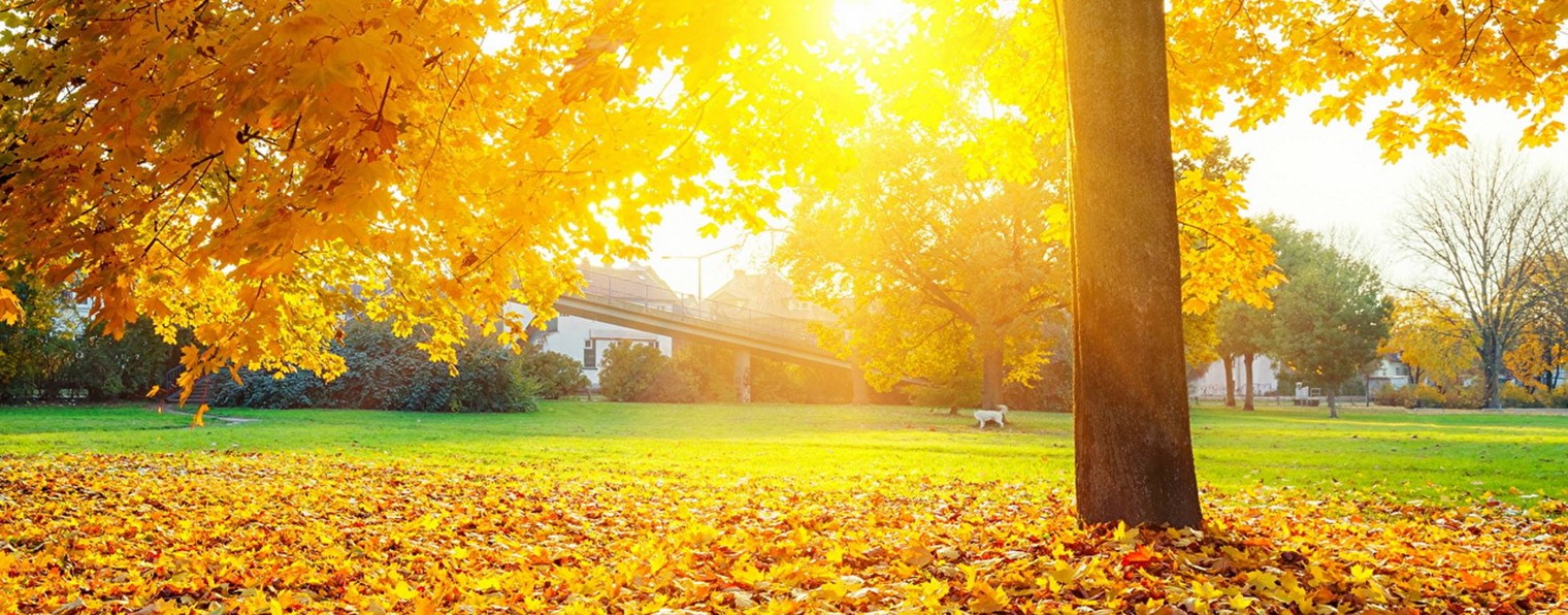 Практические советы