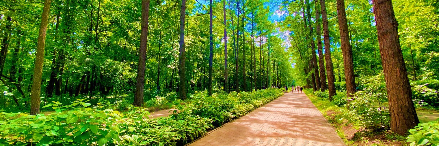 Гуляем Вместе