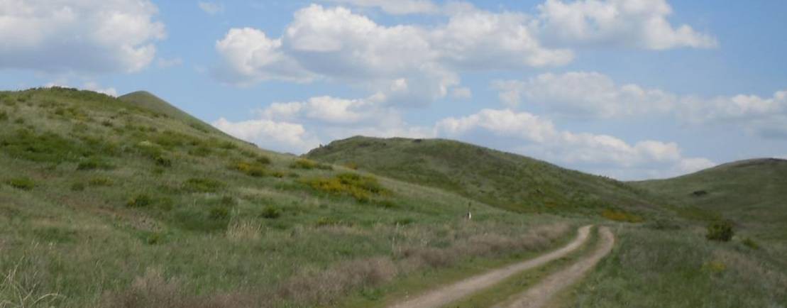 СКОРПИОН  777