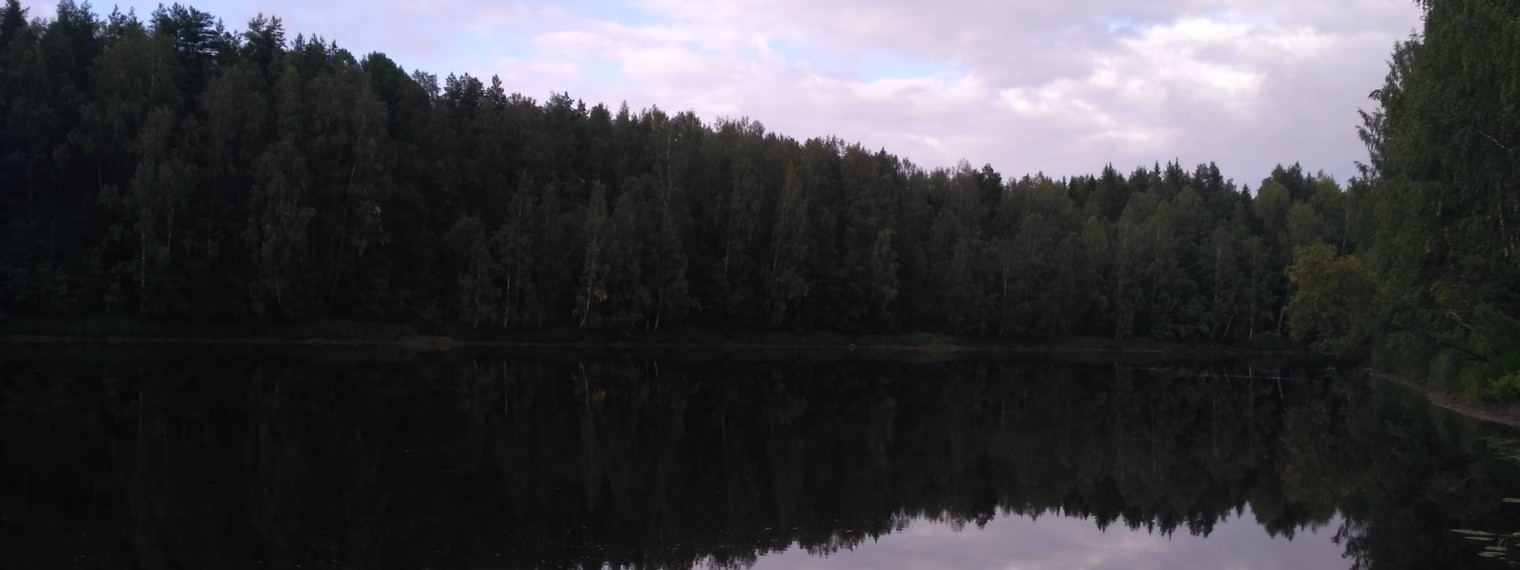 Дмитрий