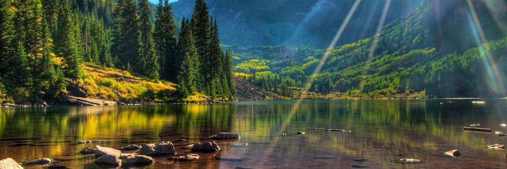 Всякое дыхание да хвалит Господа.