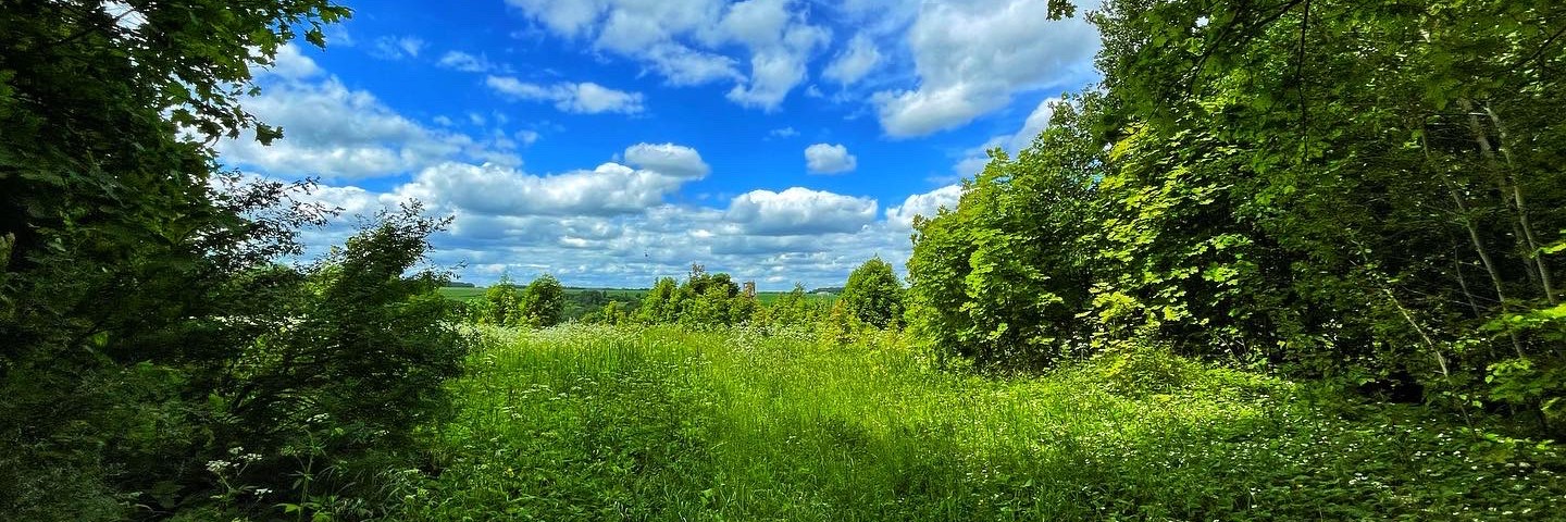 Каширские деревни