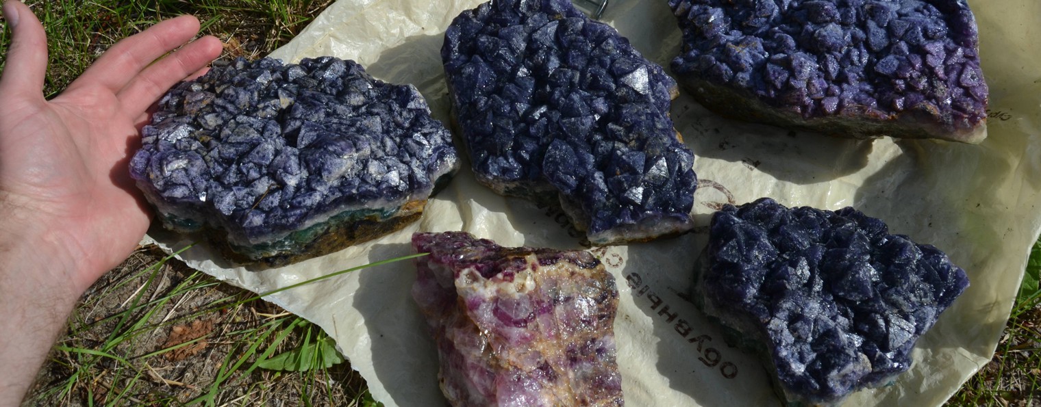 Александр Север