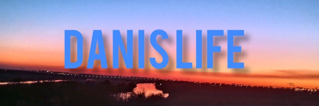Danis life