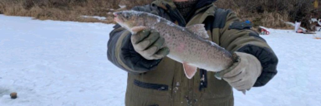 Александр рыболов2023