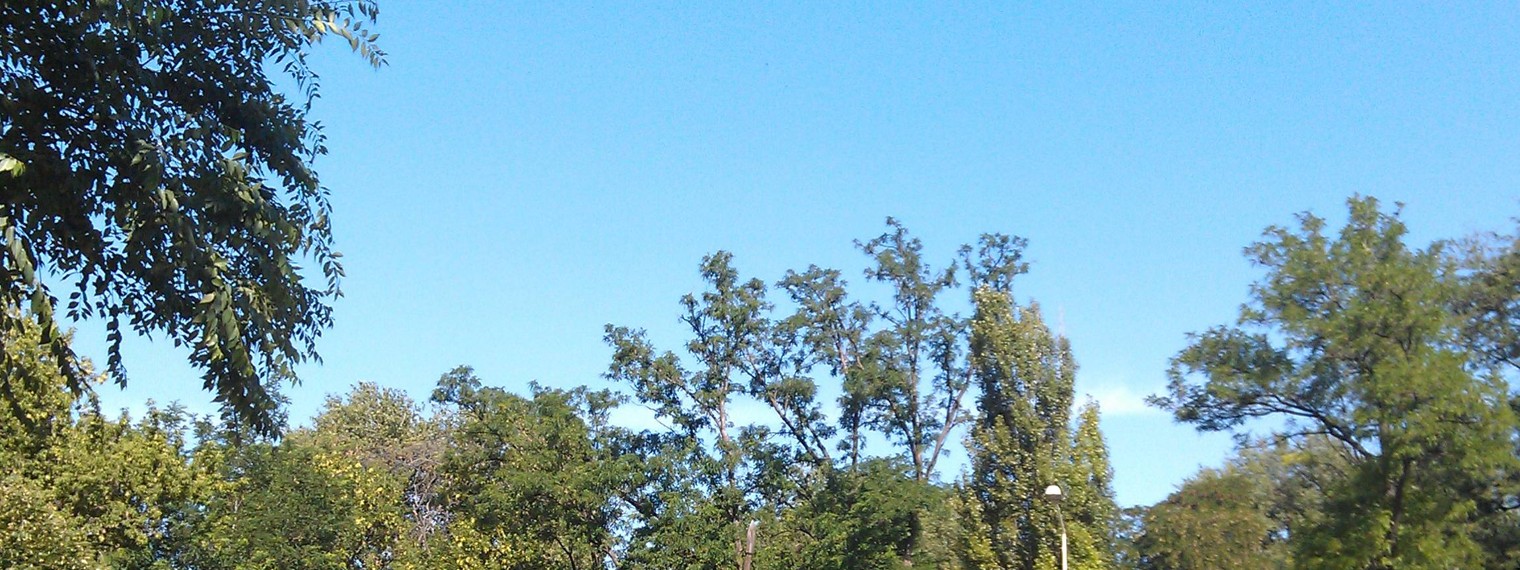 Константинова Анжела Евгеньевна