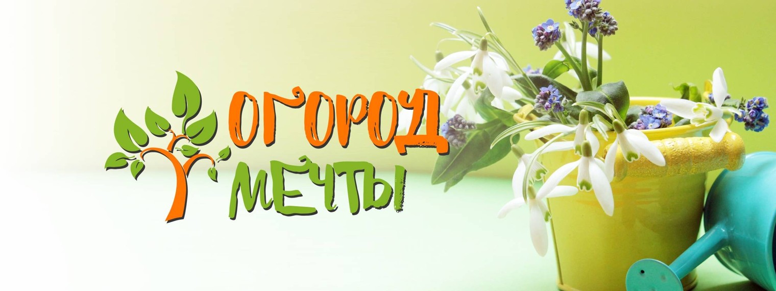 Огород мечты!