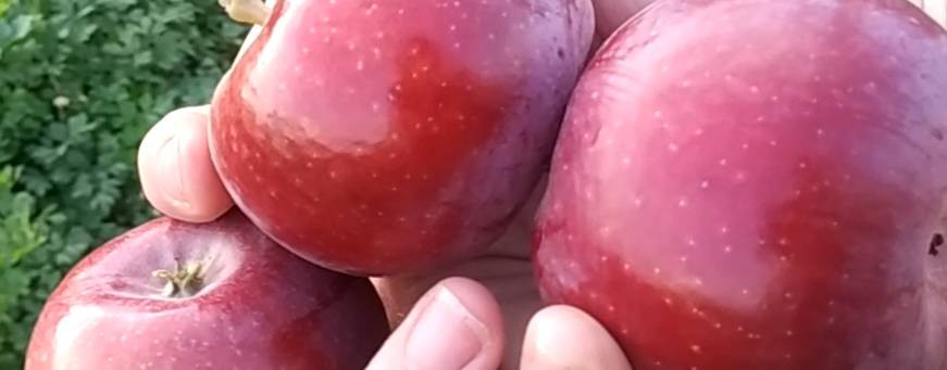 Жизнь со стороны